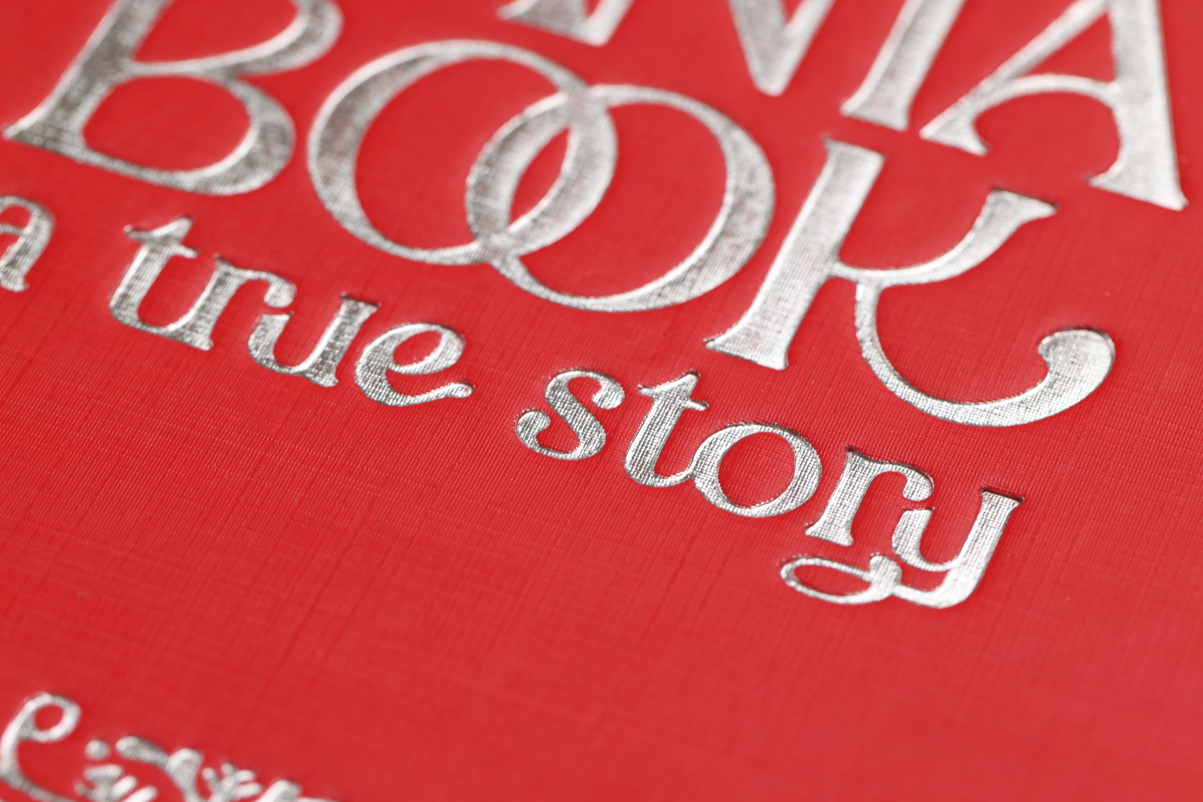 The Santa Book: A True Story