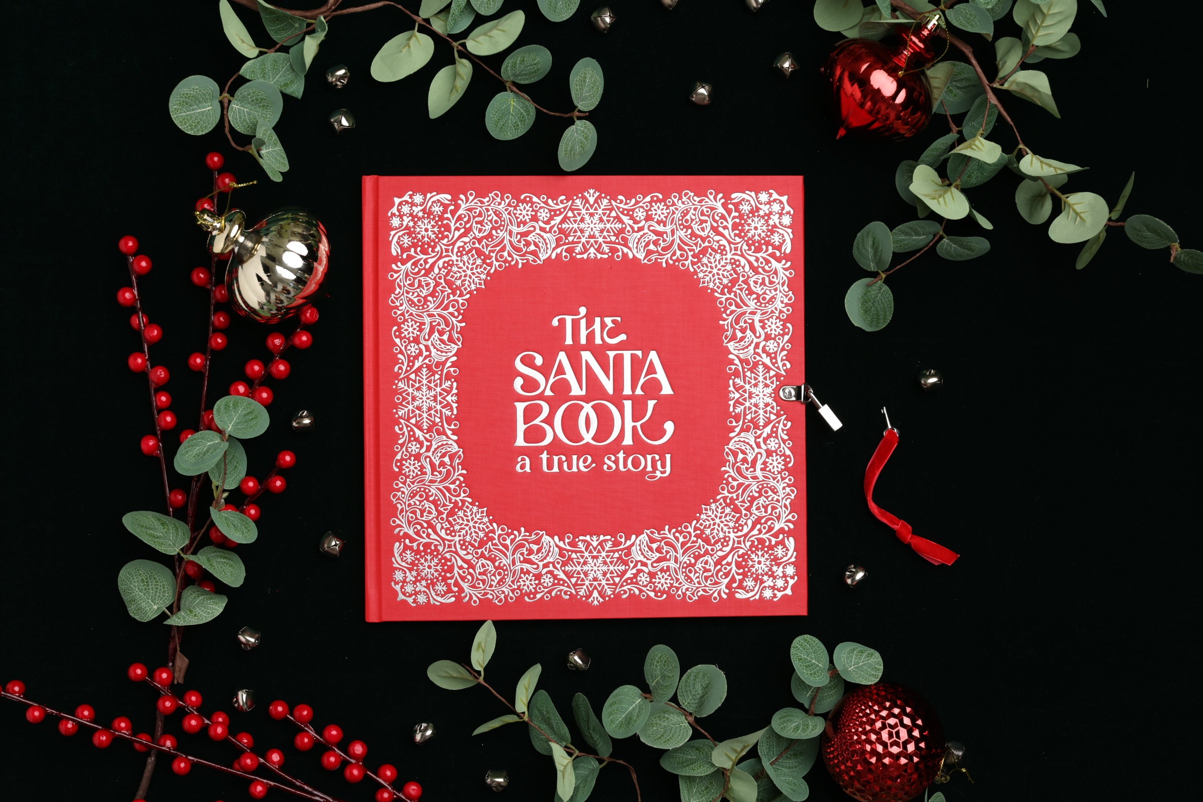 The Santa Book: A True Story